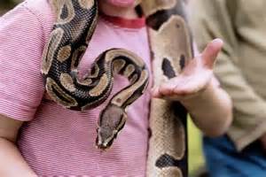 Foto Kronologi Alat Kelamin Pria Thailand Digigit Ular Piton Saat Duduk Di Kloset