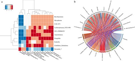 A The Correlation Between Specific Metabolites And Gut Microorganisms Download Scientific