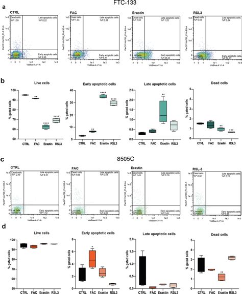Ferroptosis Activators And Iron Overload Reduce Ftc 133 Viability But