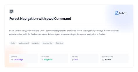 Forest Navigation With Pwd Command Labex