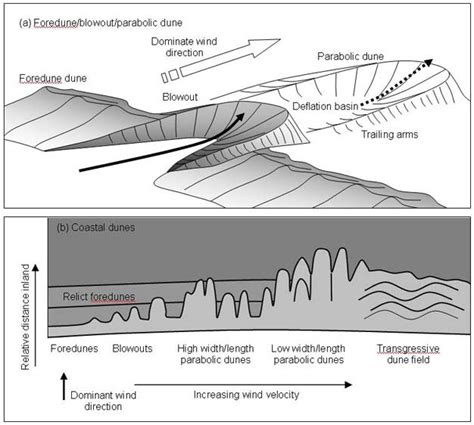 Landforms In The World Coastal And Oceanic Landform 21 Dune System