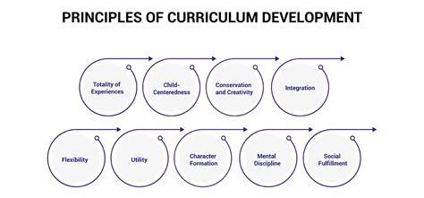 The Framework Of Curriculum Development Types Process And Principles