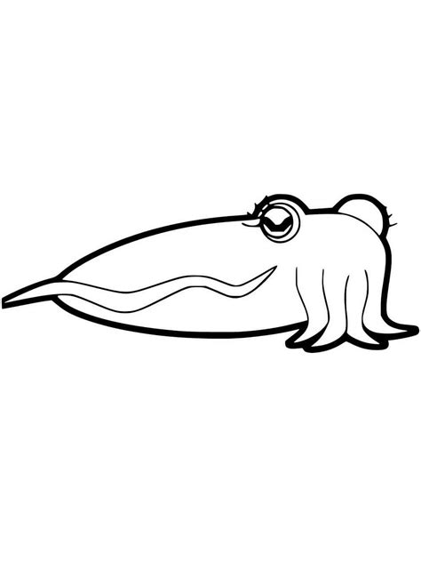 Cuttlefish Coloring Page