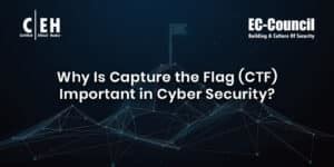 What Is Capture The Flag CTF Types Important In Cybersecurity