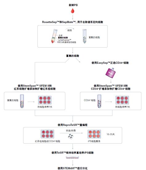 Ipsc重编程及培养方案 武汉安特捷生物技术有限公司