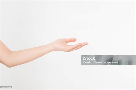 흑인 여성의 손을 열고 흰색 배경에 고립 된 손바닥 전면 보기입니다 모의 공간을 복사합니다 템플릿 빈 Revolution에 대한 스톡 사진 및 기타 이미지 Istock