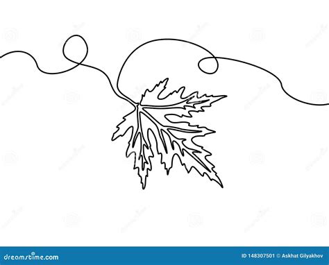 Continuous Line Maple Leaf Vector Illustration Stock Vector