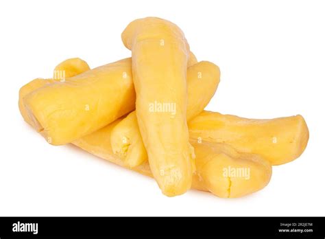 Tapai Cassava Made From Fermented Cassava Fermented Food Concept