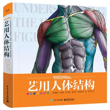 【艺用解剖】价格 艺用解剖图片 京东