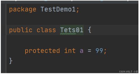 java中的封装与访问修饰符详解 csdn博客