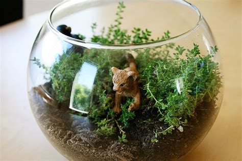 17 Best Images About Mini Ecosystems On Pinterest Antique Glass