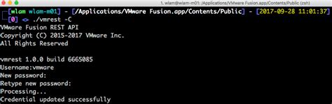 How To Enable Remote REST API Access For VMware Fusion