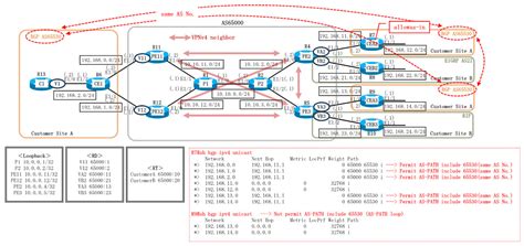 Cisco MPLS VPN MP BGP Allowas In Configuration