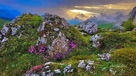 돌로미티 파소 지아우