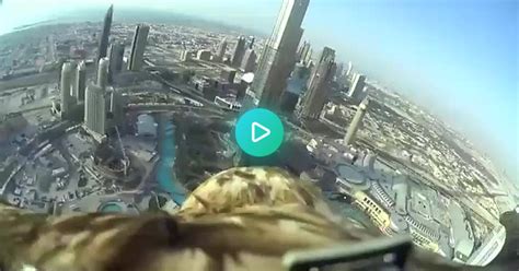 Bird Pov Album On Imgur