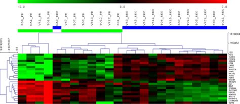 Unsupervised Clustering Analysis Of 24 Significantly Deregulated Genes