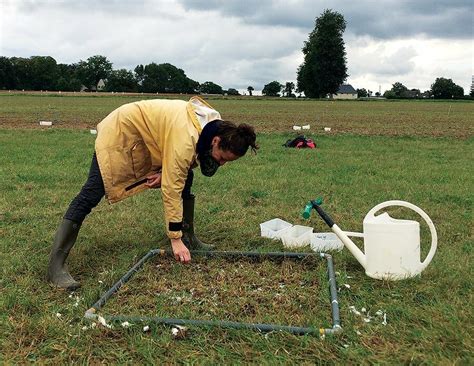 Put Some ‘mustard On Your Earthworm Sampling Methods