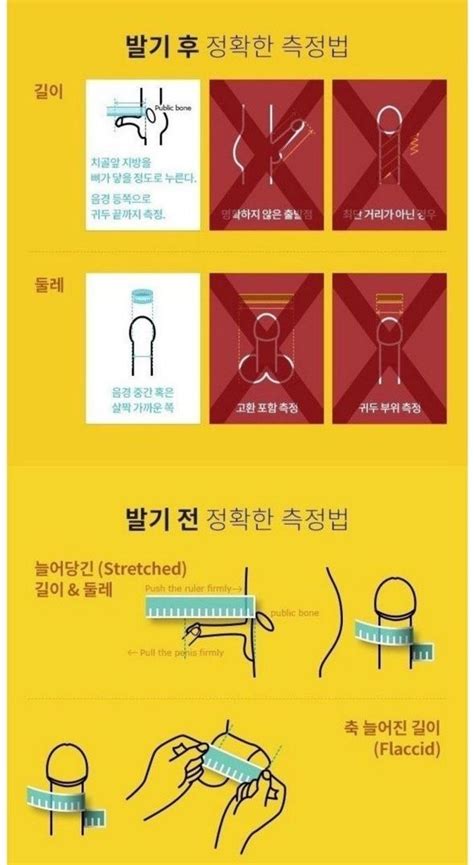 자지길이 이게 정확한 측정법맞음 게이격리소 채널