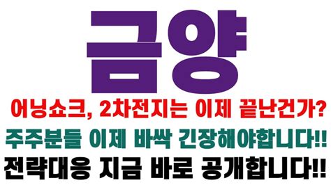 금양 긴급속보 어닝쇼크 2차전지는 이제 끝난건가주주분들 이제 바싹 긴장해야합니다전략대응 지금 바로 공개합니다