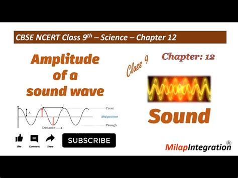 Amplitude Science