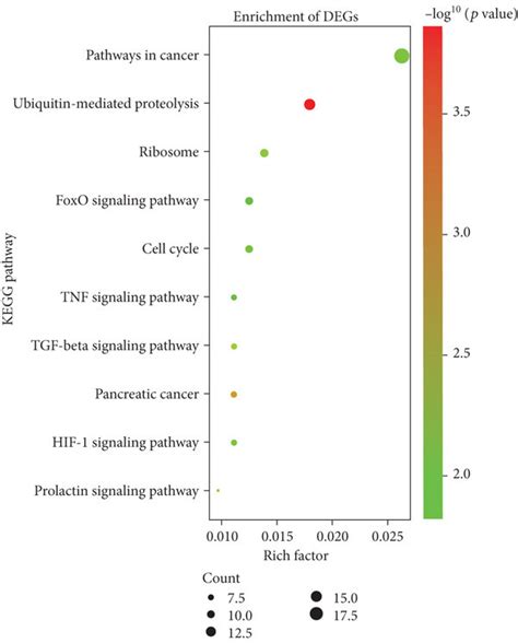A Ppi Network And Function Enrichment Analysis For Demrnas In The