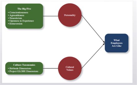 lecture 3 slides flashcards quizlet