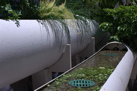 Total Automation Aquaponics On A Budget Garden Culture Magazine