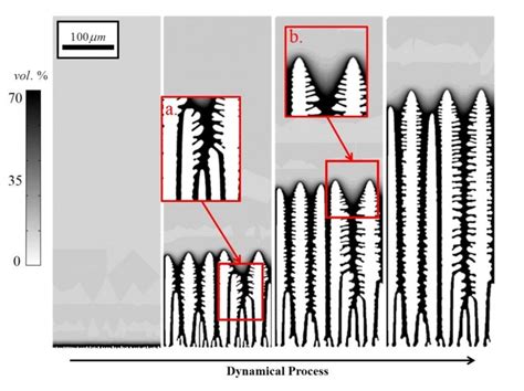 Modeling Of Microstructural Evolution By Freeze Casting Advanced