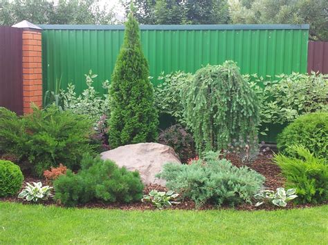 Что посадить между туями вдоль забора 77 фото НА ДАЧЕ ФОТО