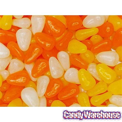Brachs Fruity Chewy Jelly Beans Candy 14 Ounce Bag Bestcandyshop