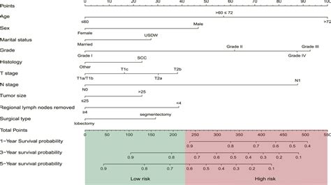 Prognostic Nomogram For T1 2n0 1m0 Non Small Cell Lung Cancer Usdw Download Scientific