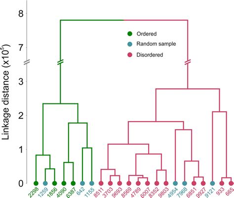 Hierarchical Clustering Of The Electronic Circular Dichroism Spectral Download Scientific