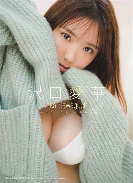 Japanese Popular Gravure Idol Aika Sawaguti 2023 Wall Calendar B2 8p Jp