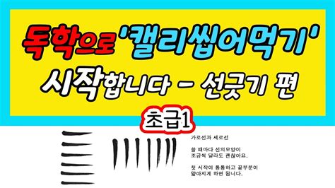 독학으로 캘리씹어먹기 가능한 모든 팁 오픈합니다독학시작 캘리그라피기초 여리캘리 캘리씹어먹기 Youtube