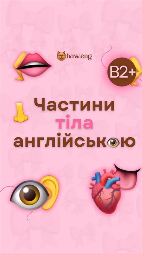 Oksana 🦴 Школа англійської Англійська онлайн 🐶 Святкуємо день закоханих у СЕБЕ ️☺️ Потіште