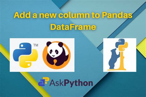 How To Add A New Column To Pandas Dataframe Askpython