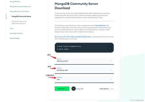 [保姆级教程]Windows安装MongoDB教程-阿里云开发者社区