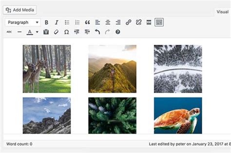 How To Display Wordpress Photos In Columns And Rows