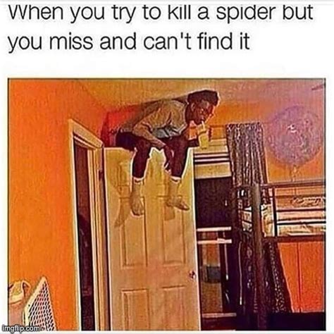 Spiders Memes And S Imgflip