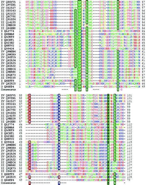 Fig S7 Alignment Of Domain Architectures I Ii Iv Based On Ph Domain