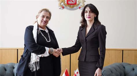 მაკა ბოჭორიშვილი უნგრეთის ელჩს შეხვდა Rustavi2