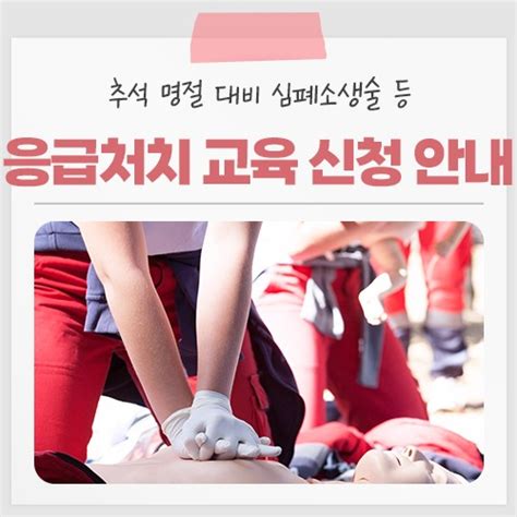 추석 명절 대비 심폐소생술 등 응급처치 교육 신청 안내드립니다 강원특별자치도 홍천군 웰로