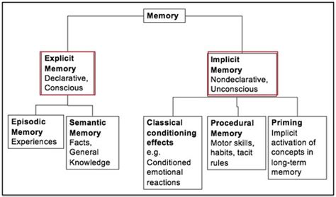 Implicit Memory