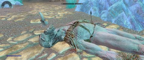 Creature Schlong Static Bug Technical Support SexLab Framework LoversLab
