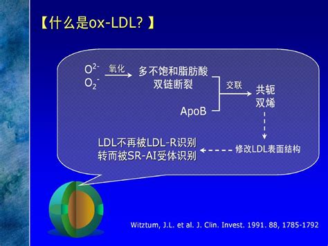 动脉粥样硬化 Word文档在线阅读与下载 无忧文档