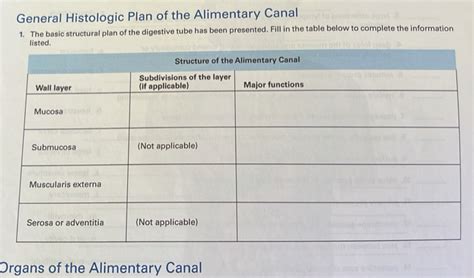 Solved General Histologic Plan Of The Alimentary Canal 1 The Basic