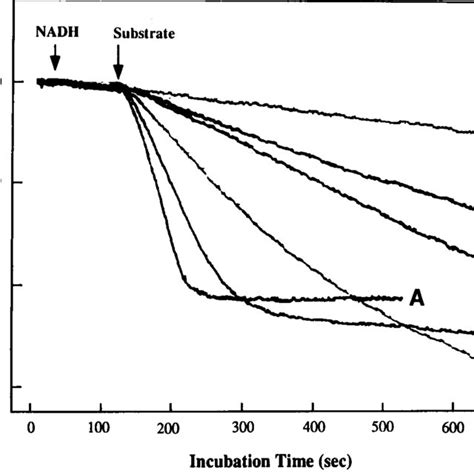 Mass Spectra Of Acetophenone In The Molecular Ion Region A Download Scientific Diagram