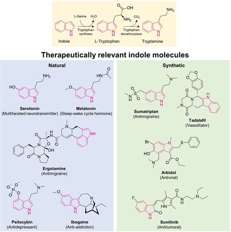 Engineering Saccharomyces Cerevisiae For The De Novo Production Of Halogenated Tryptophan And