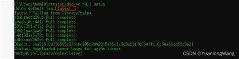 docker 安装 nginx容器 配置以及重新生成镜像 nginx docker镜像 csdn博客