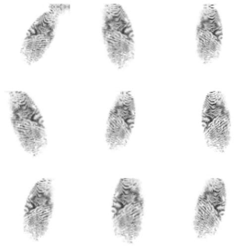 Data Augmentation Rotated Fingerprint On ±30 • Download Scientific